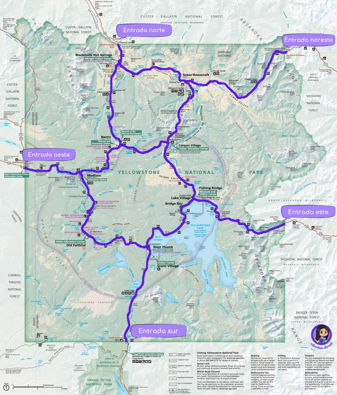 Cómo Llegar y Visitar el Parque Yellowstone - Colombian Abroad